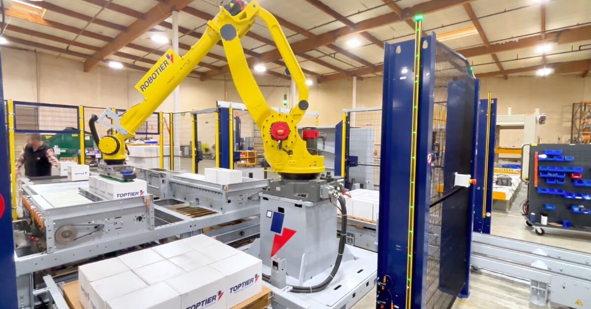 Choosing the Right Palletizer for Consumer Packaged Goods